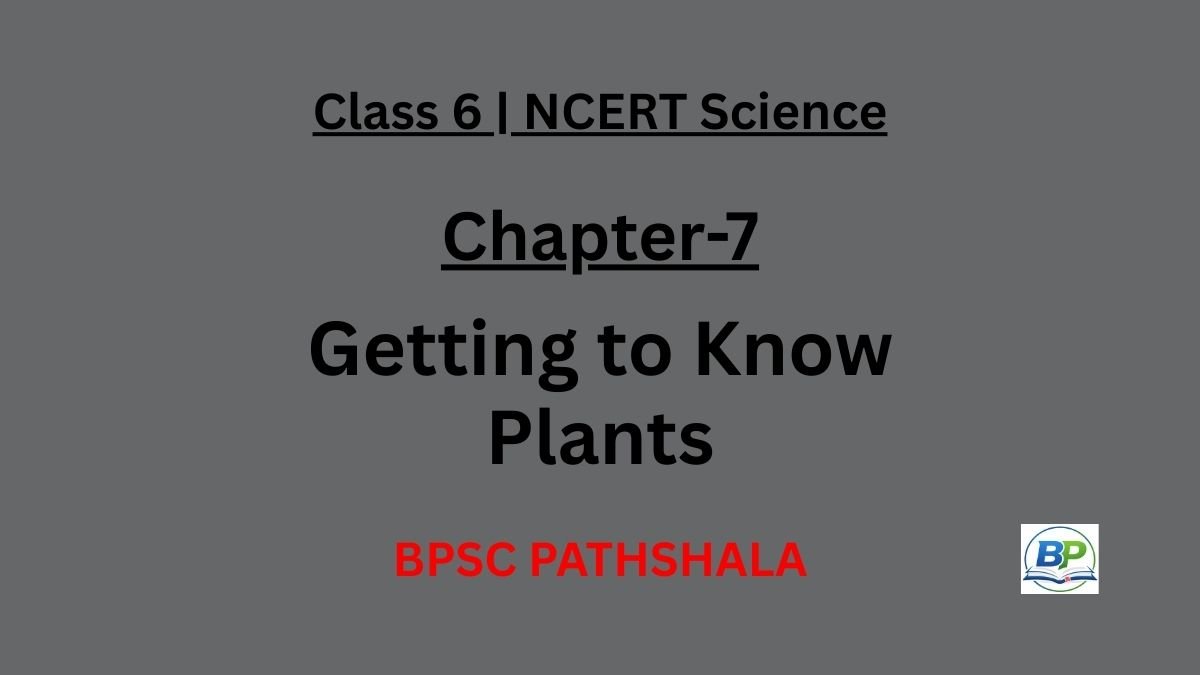 NCERT Class 6 Science Chapter 7 – Getting to Know Plants (Notes)
